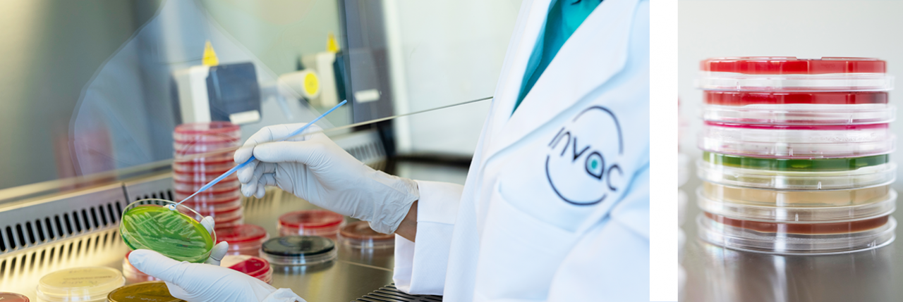 INVAC Forschung - Von der Praxis inspiriert | INVAC International
