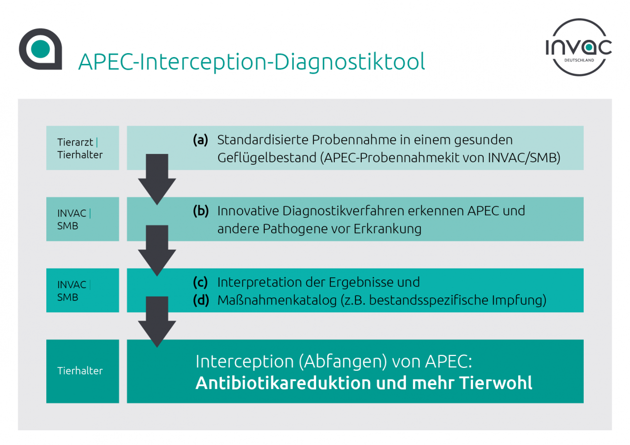 INVAC Forschung - Von der Praxis inspiriert | INVAC International